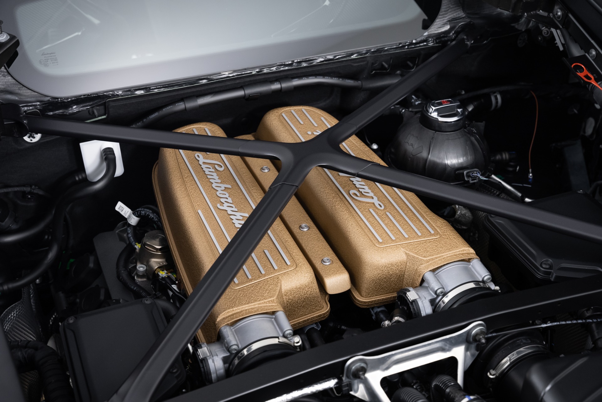 Lamborghini 2022 Veneno Engine